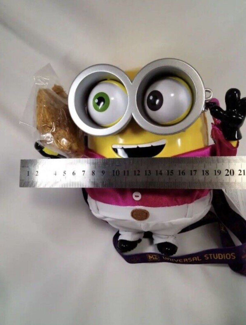Minions Bob & Tim popcorn bucket from Universal Studios Japan, Hobbies ...