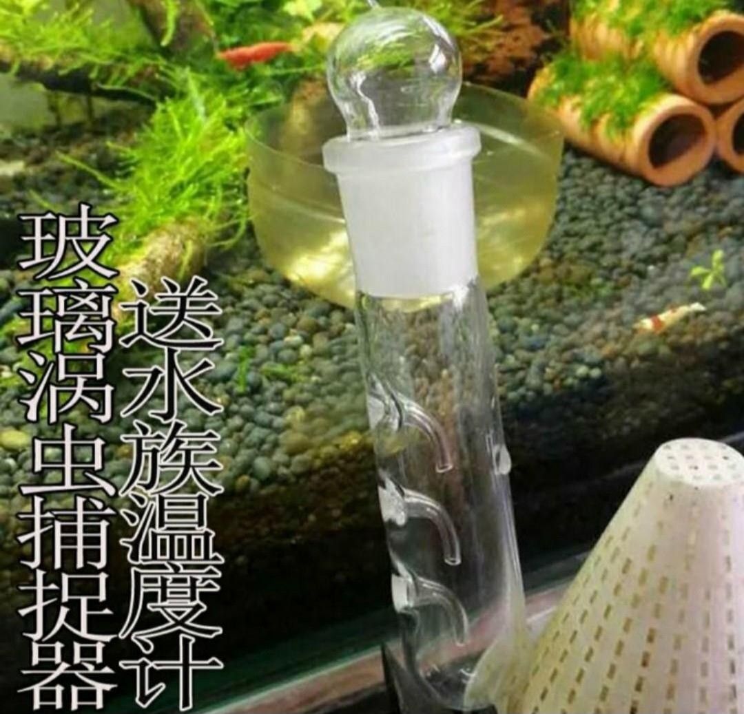 Planaria Worm 3 Head Glass Trap for Shrimp / Fish Tank, Pet Supplies ...