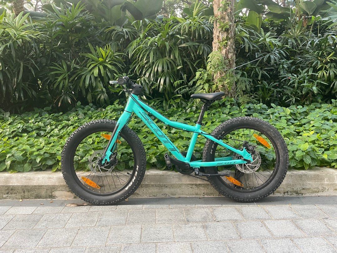 Scott Roxter kids bicycle 20 inch, Sports Equipment, Bicycles & Parts ...