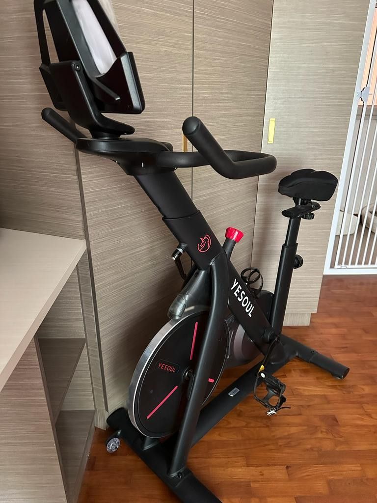 Yesoul Exercise Bike, Sports Equipment, Exercise & Fitness, Cardio ...