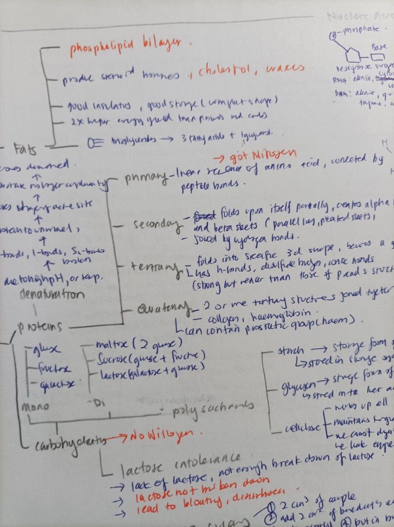 Bio IP/Sec 3 (School Materials+own notes), Hobbies & Toys, Books ...