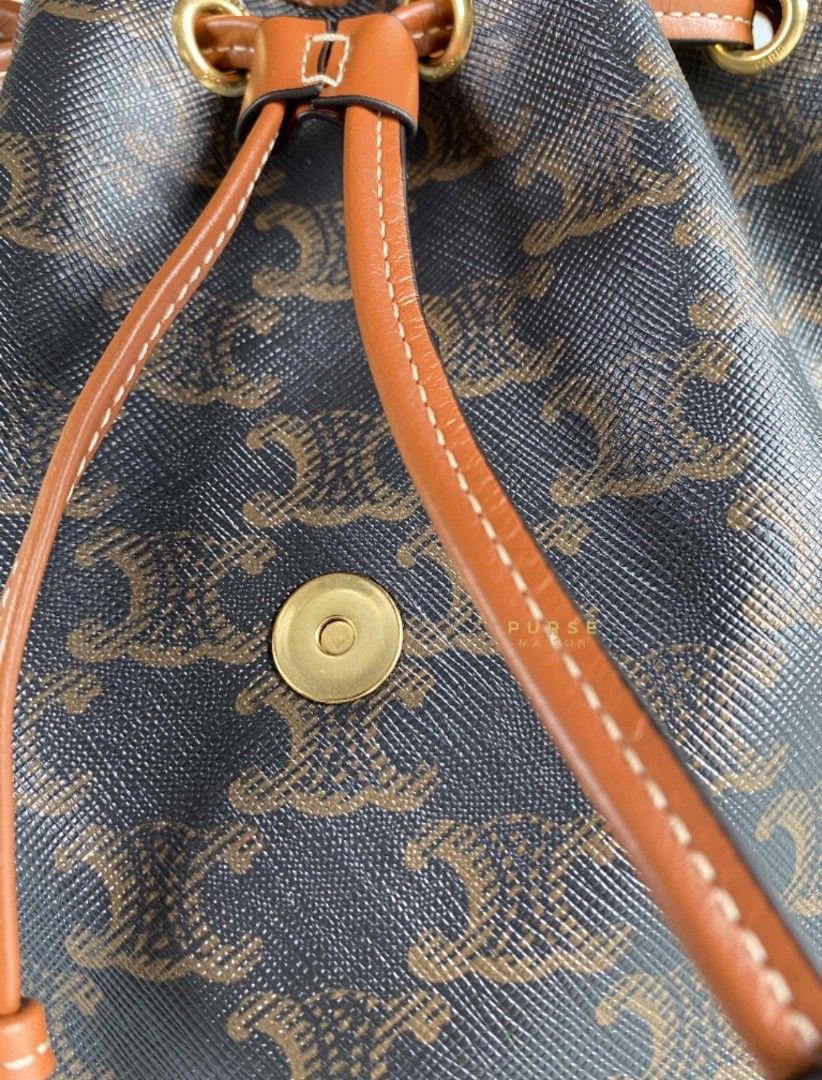 Celine Triomphe Canvas Calfskin Mini Folco Backpack, Luxury, Bags ...