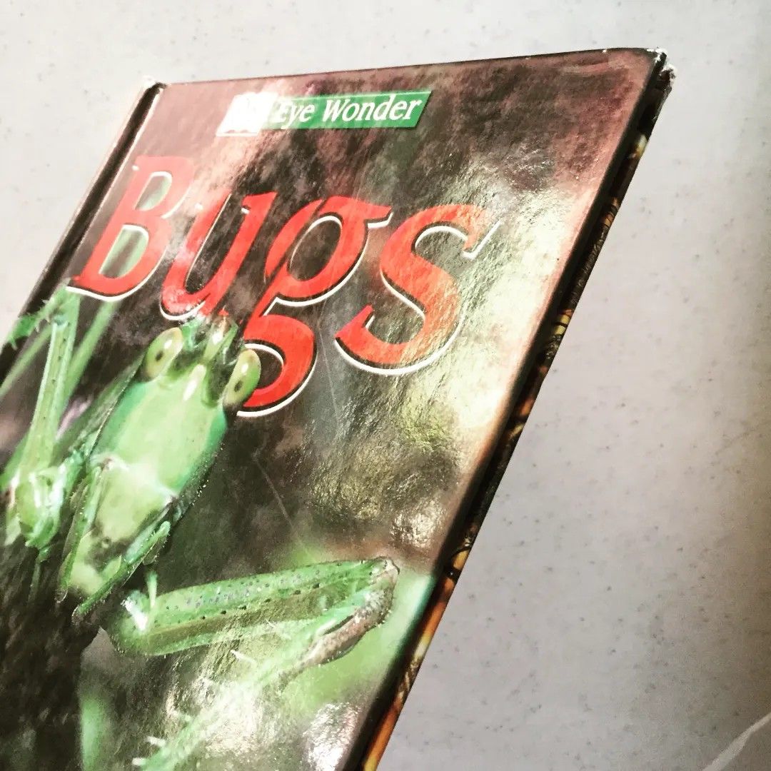 DK Eye Wonder: Bugs, Hobbies & Toys, Books & Magazines, Children's ...