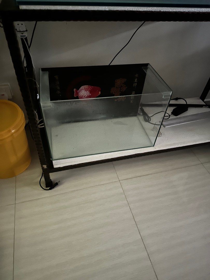 Fish tank 2 feet, Pet Supplies, Homes & Other Pet Accessories on Carousell