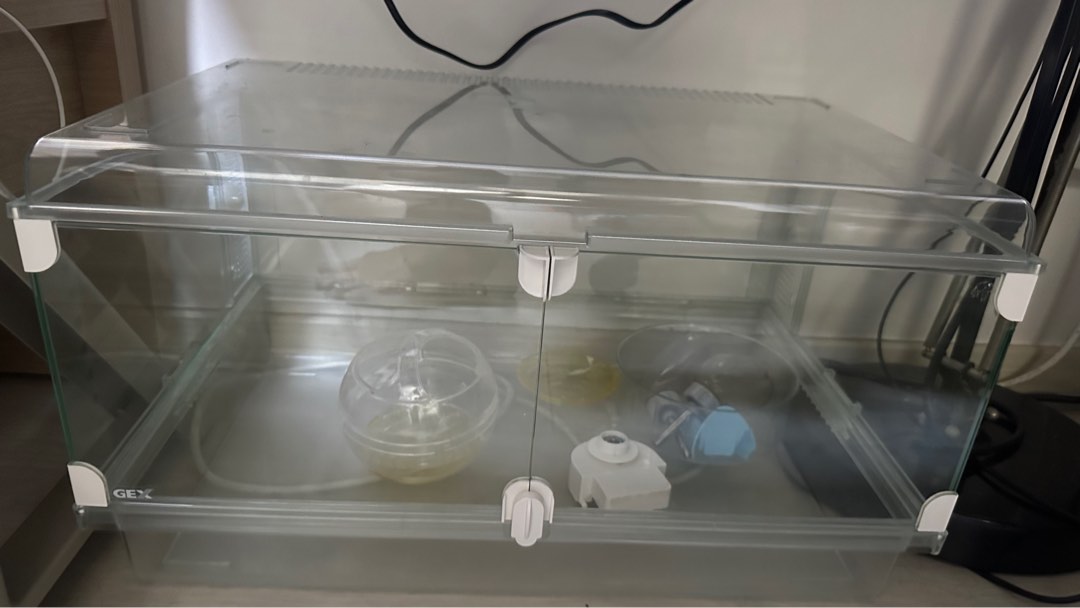 Gex GLASS HARMONY 600 PLUS hamster cage, Pet Supplies, Homes & Other Pet Accessories on Carousell