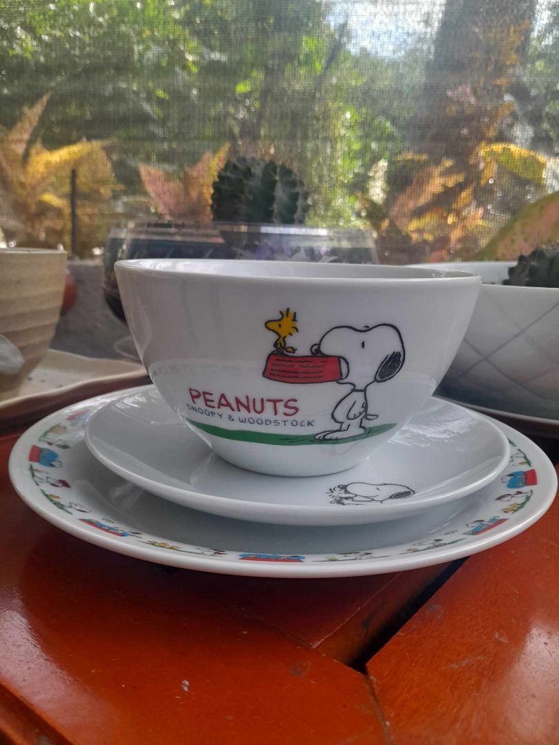 Peanuts Ceramic Bowl & Plate and Snoopy Plate Limited Set, Furniture ...
