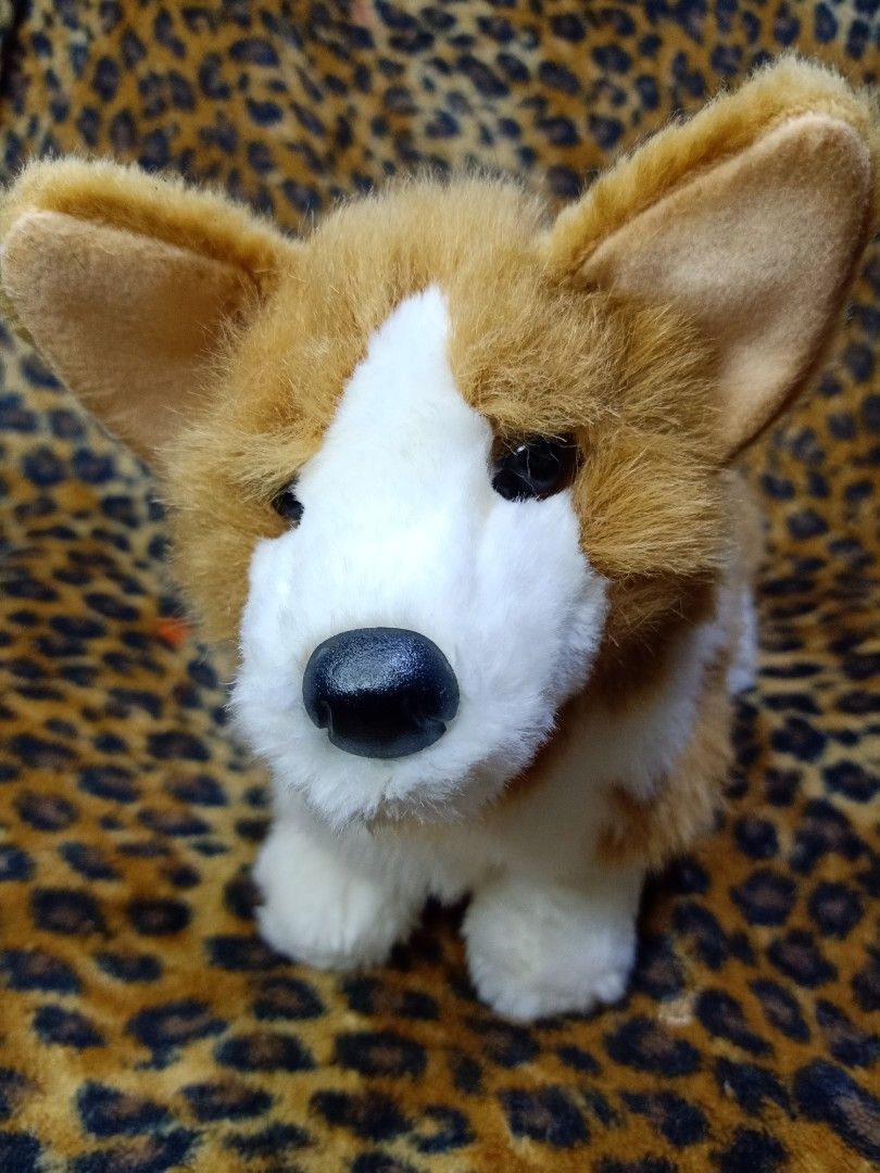 REALISTIC CORGI DOG PLUSH BY DOUGLAS CUDDLE TOYS, Hobbies & Toys, Toys ...