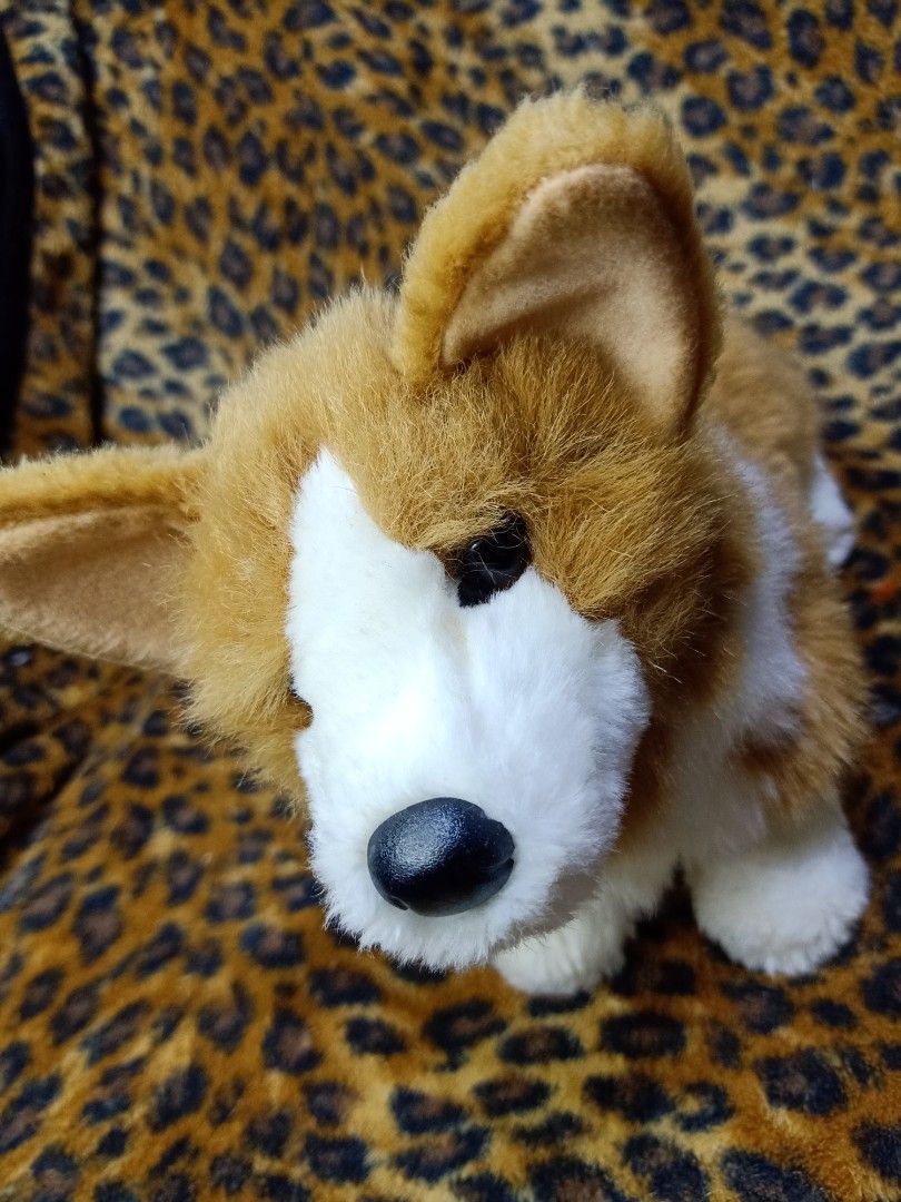 REALISTIC CORGI DOG PLUSH BY DOUGLAS CUDDLE TOYS, Hobbies & Toys, Toys ...