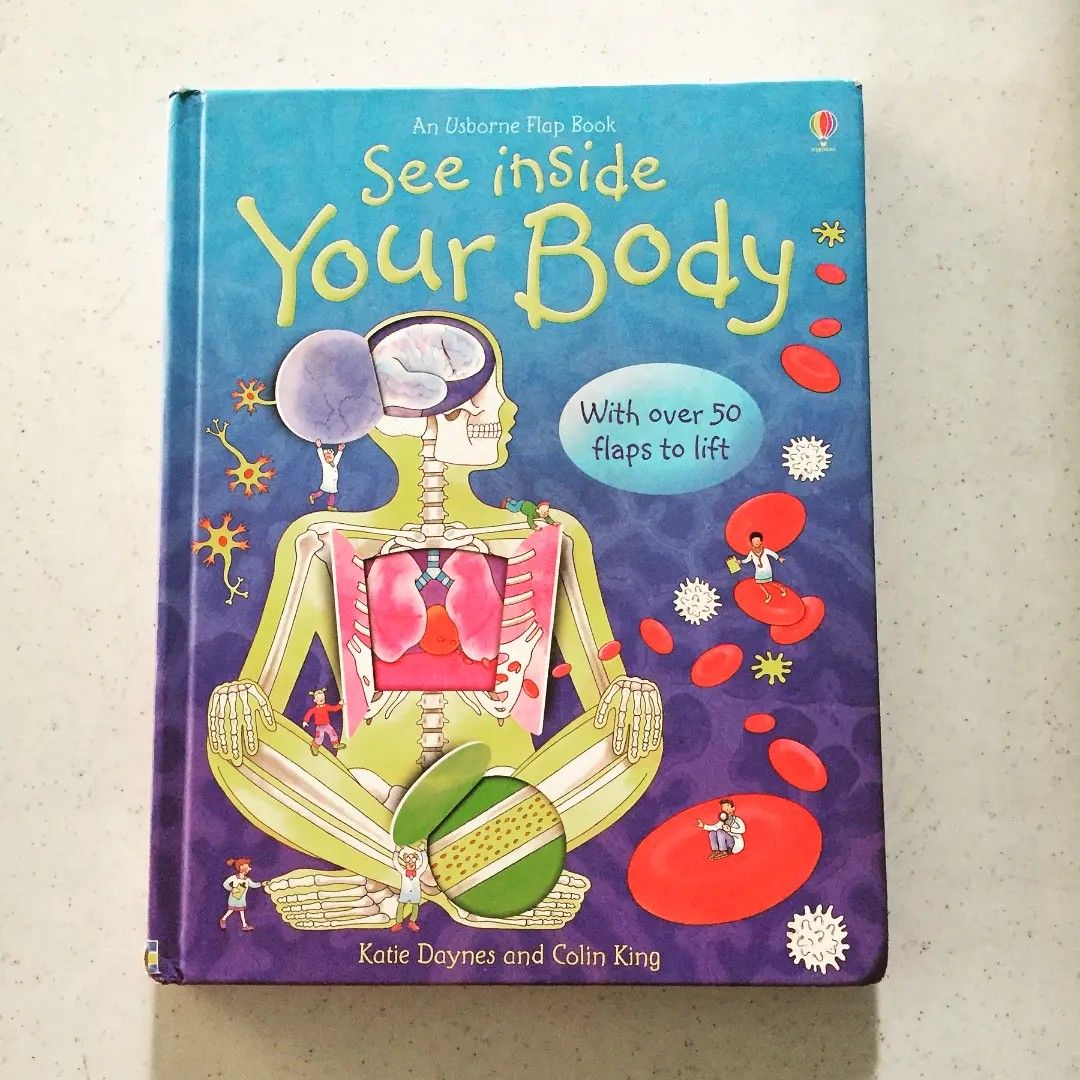 See Inside Your Body - Usborne Flap Book, Hobbies & Toys, Books ...