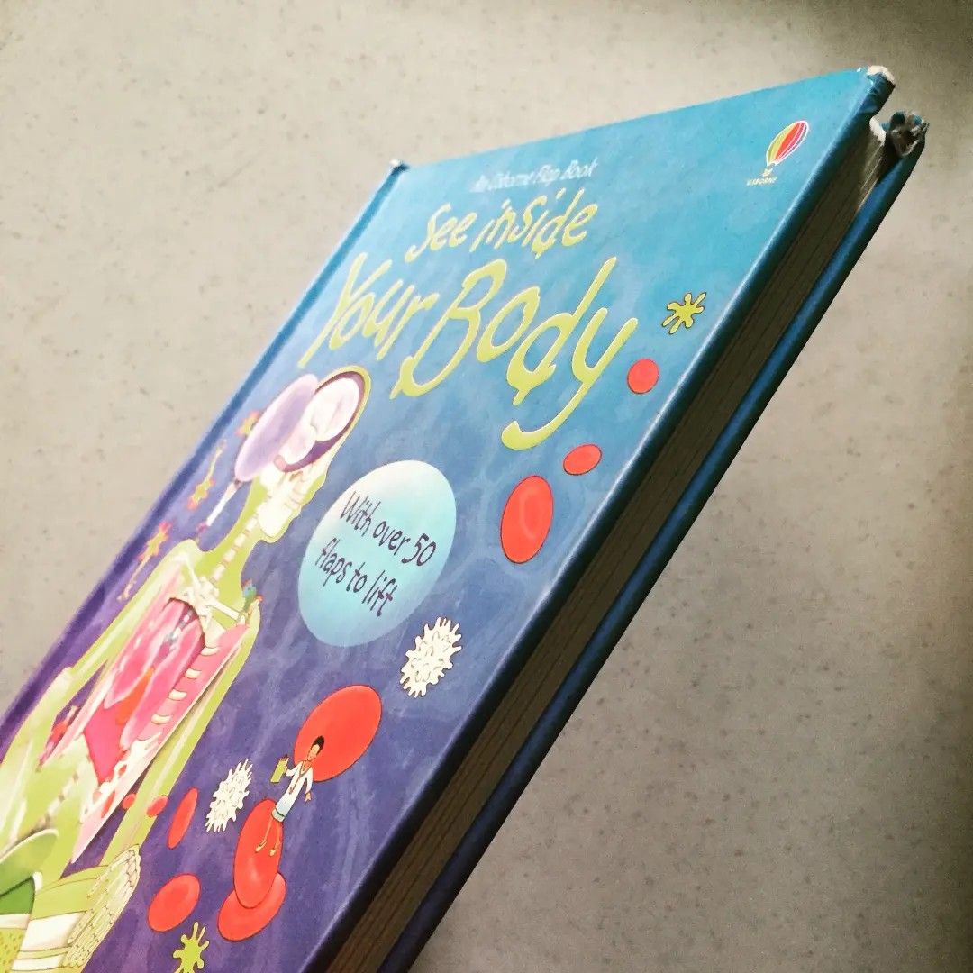 See Inside Your Body - Usborne Flap Book, Hobbies & Toys, Books ...