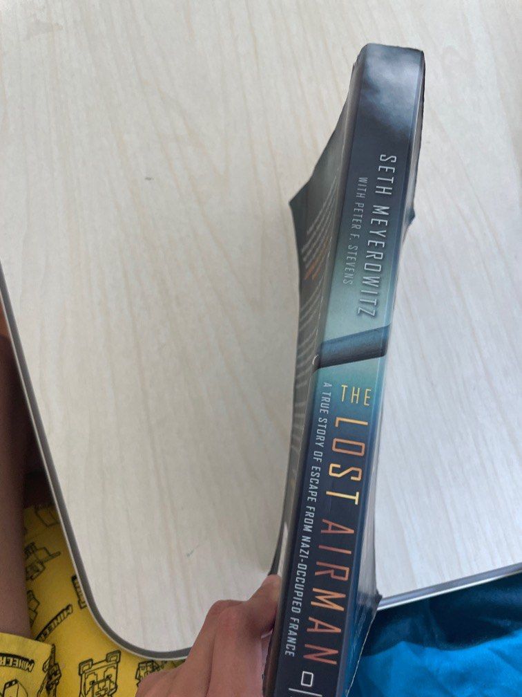 THE LOST AIRMAn by SETH MEYEROWITZ, Hobbies & Toys, Books & Magazines ...