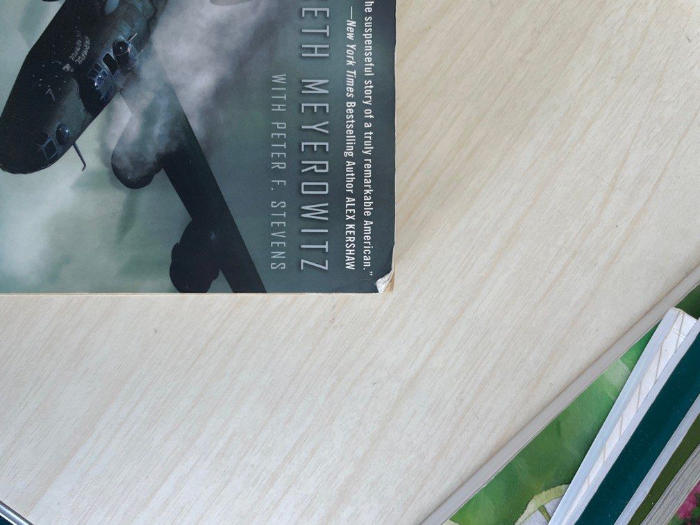 THE LOST AIRMAn by SETH MEYEROWITZ, Hobbies & Toys, Books & Magazines ...