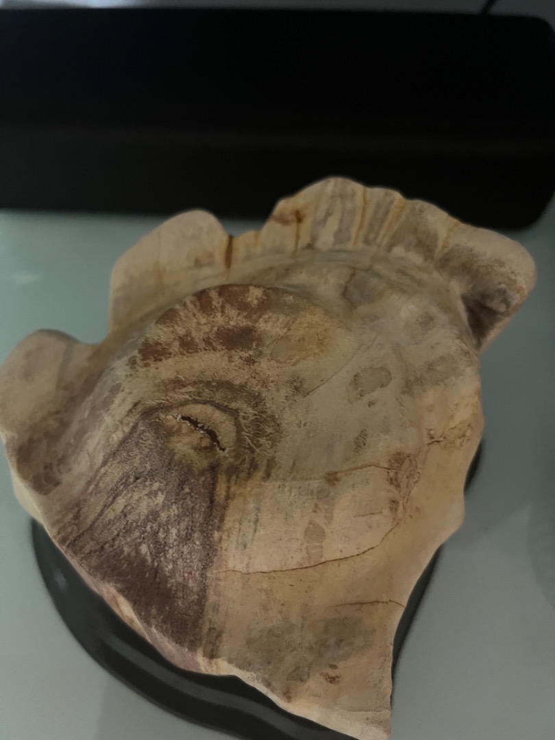 Tree fossil jade, Furniture & Home Living, Home Decor, Other Home Decor ...