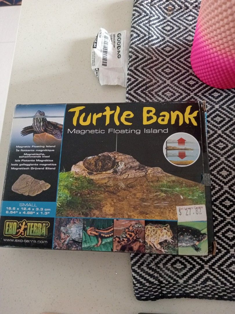 Turtle banks, Pet Supplies, Homes & Other Pet Accessories on Carousell