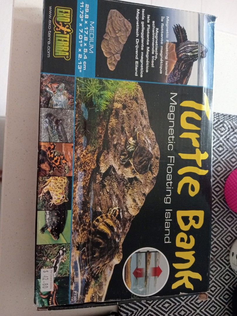 Turtle banks, Pet Supplies, Homes & Other Pet Accessories on Carousell