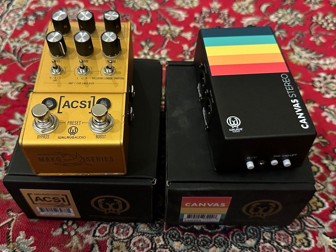 Walrus Audio ACS1 and Canvas Stereo Di, Hobbies & Toys, Music & Media ...