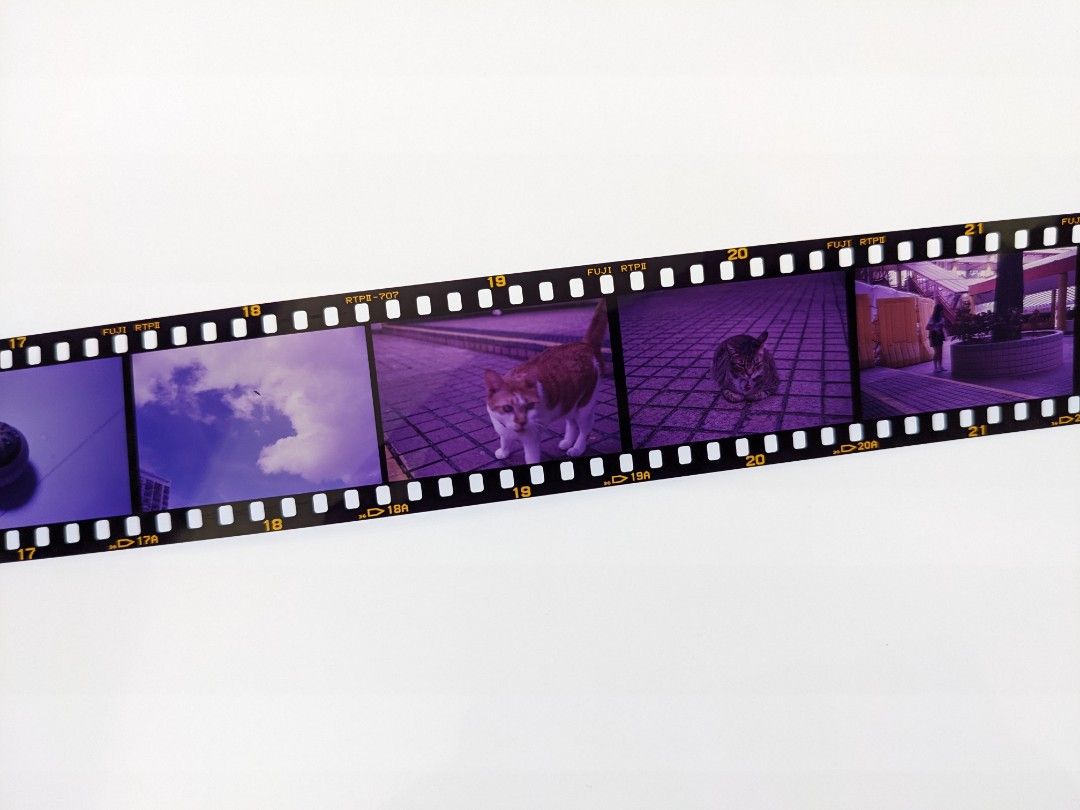 *有相睇*絕版過期正片菲林 Fujichrome 64T Type II Tungsten expired in 02/2003 Made ...