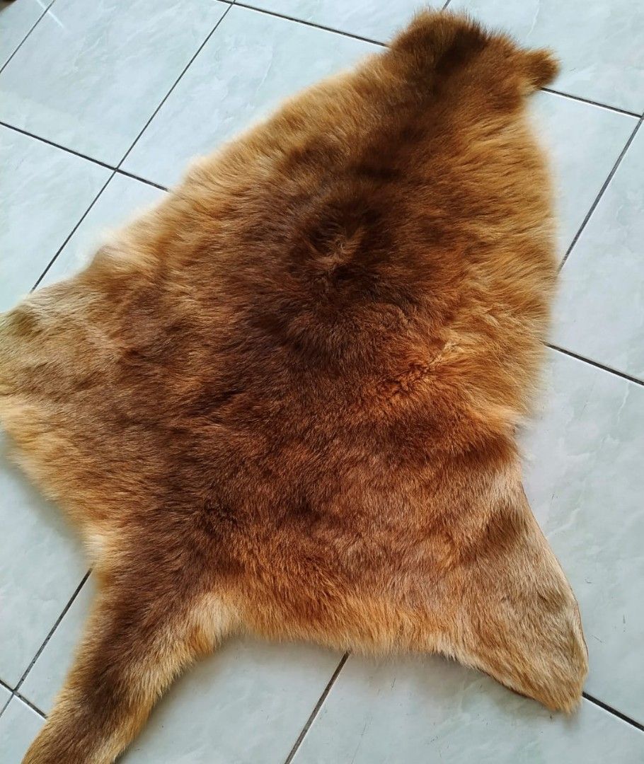 Animal fur mat, Hobbies & Toys, Collectibles & Memorabilia, Vintage ...