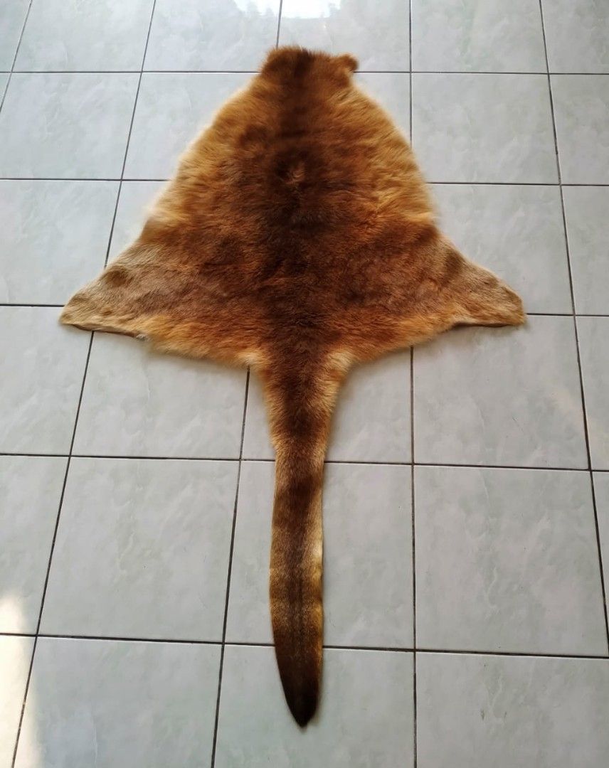 Animal fur mat, Hobbies & Toys, Collectibles & Memorabilia, Vintage ...