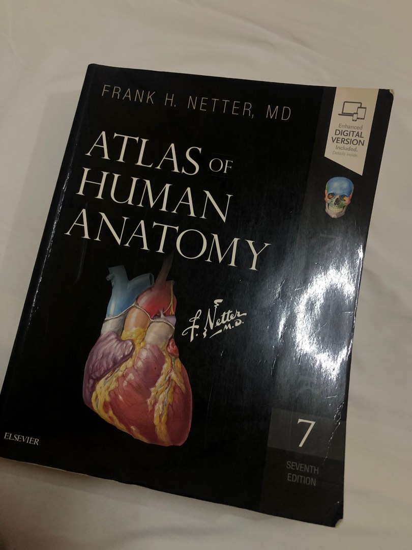 ATLAS OF HUMAN ANATOMY 7TH EDITION BY FRANK H. NETTER, Hobbies & Toys ...