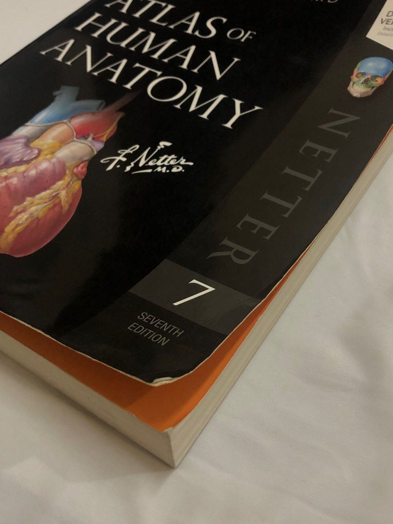 ATLAS OF HUMAN ANATOMY 7TH EDITION BY FRANK H. NETTER, Hobbies & Toys ...