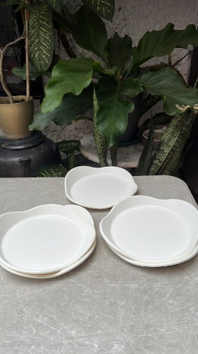 CATCH PLATES FOR PLANTERS - To San Mateo Rizal, Furniture & Home Living ...