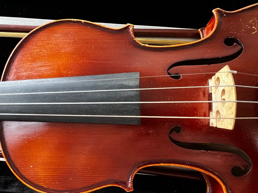 D Z Strad Violin N365 size 3/4, Hobbies & Toys, Music & Media, Musical ...