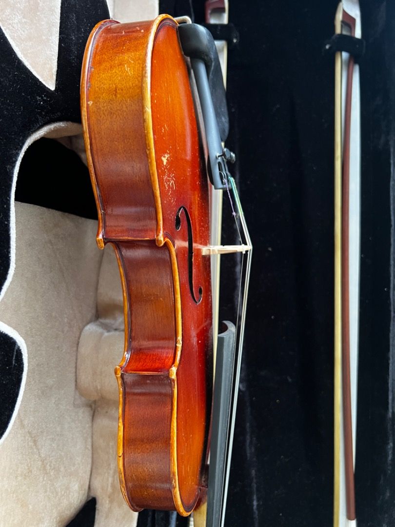 D Z Strad Violin N365 size 3/4, Hobbies & Toys, Music & Media, Musical ...