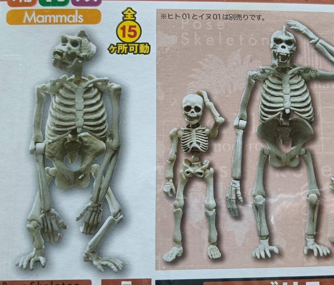 Holloween skeleton set and mask transformers, Hobbies & Toys, Toys ...