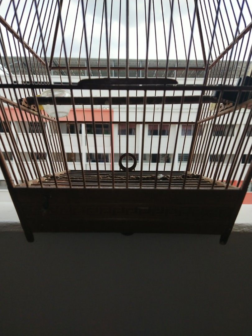 Jambul Bird Cage, Pet Supplies, Homes & Other Pet Accessories on Carousell
