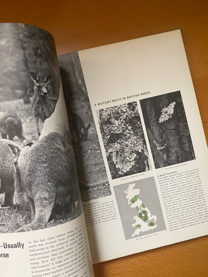 Life Science Library: The Cell, Hobbies & Toys, Books & Magazines ...