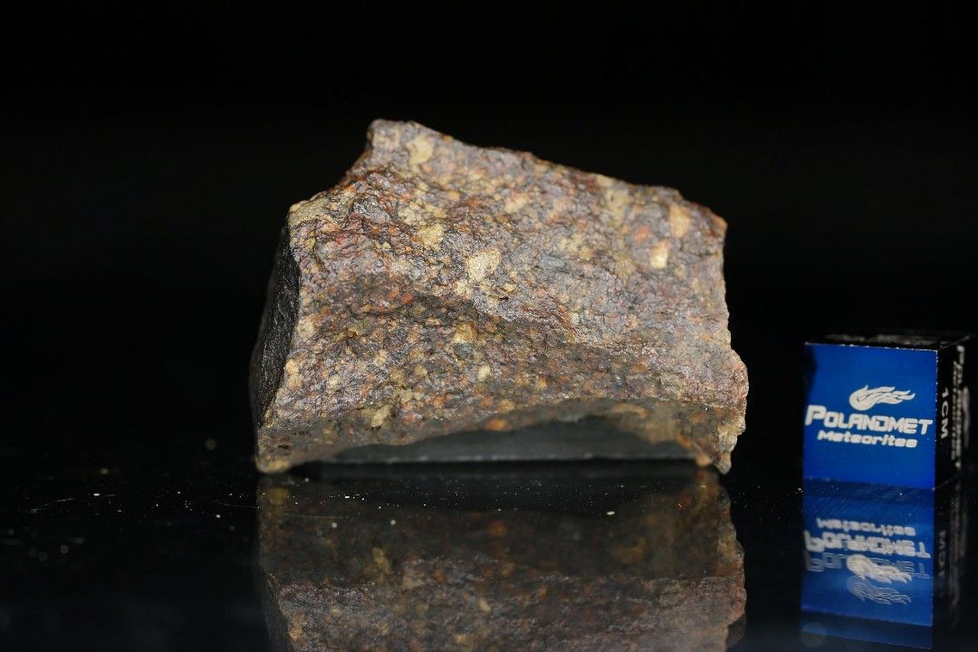 NWA 5507 Meteorite, Hobbies & Toys, Memorabilia & Collectibles, Vintage ...