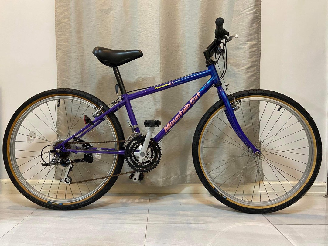 Retro Panasonic Mountain Cat Mountain Bike, Sports Equipment, Bicycles ...