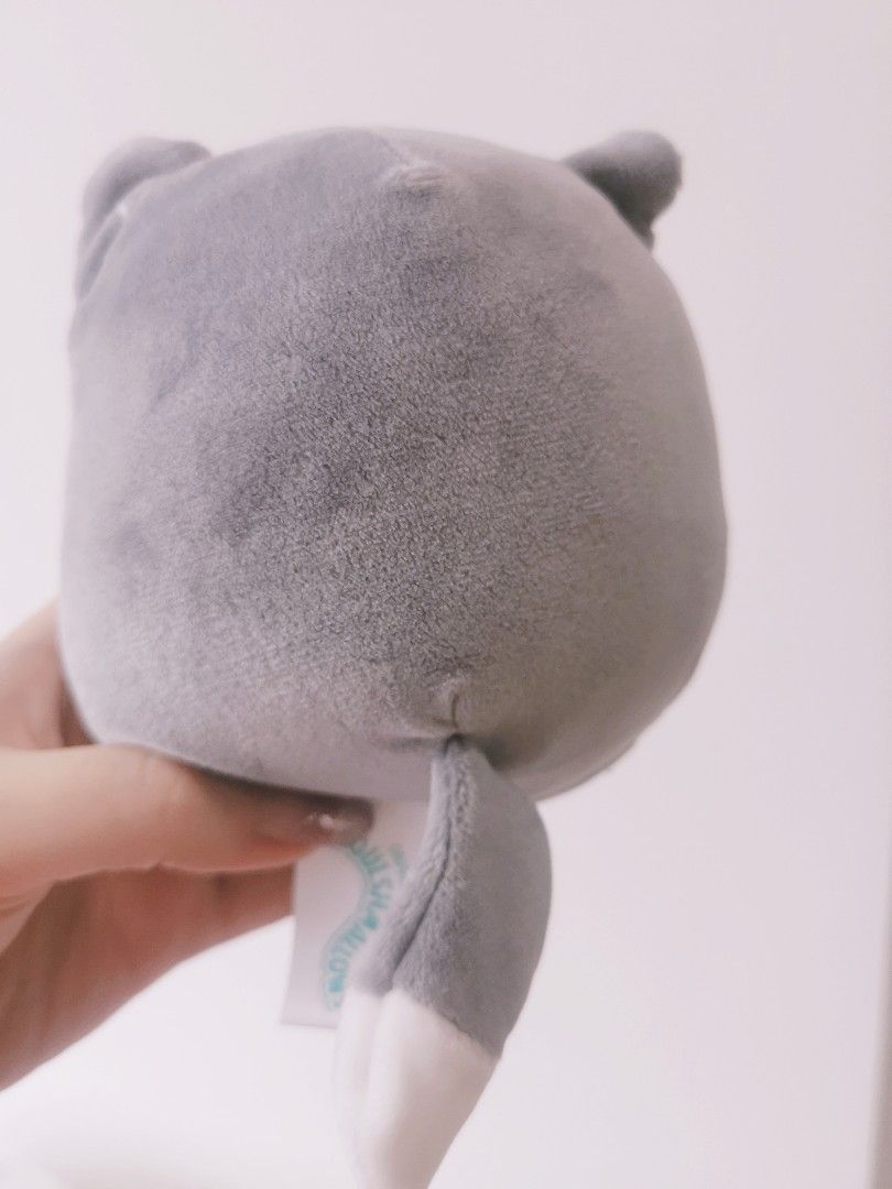 Squishmallow Grey husky dog small plushies soft toy, Hobbies & Toys ...