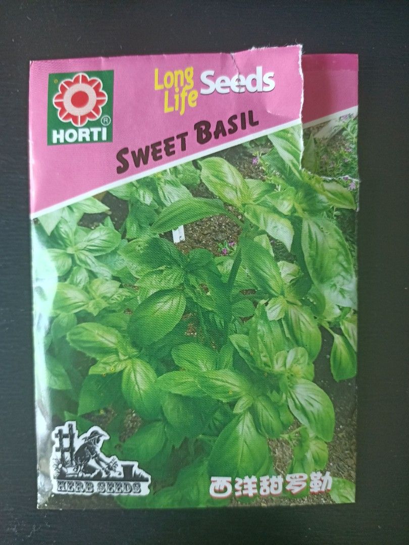 Sweet Basil Seedlings, Furniture & Home Living, Gardening, Plants ...