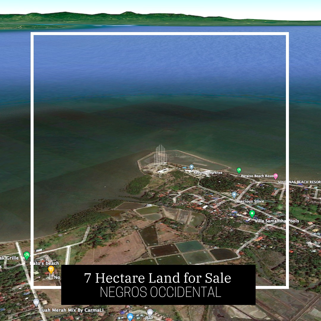 7 Hectare Land for Sale in Bago City, Negros Occidental, Property, For ...