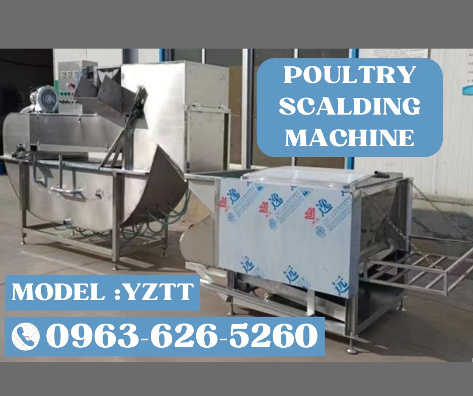 Automatic Poultry Scalding and Plucking Machine Line - YZTT, Everything ...