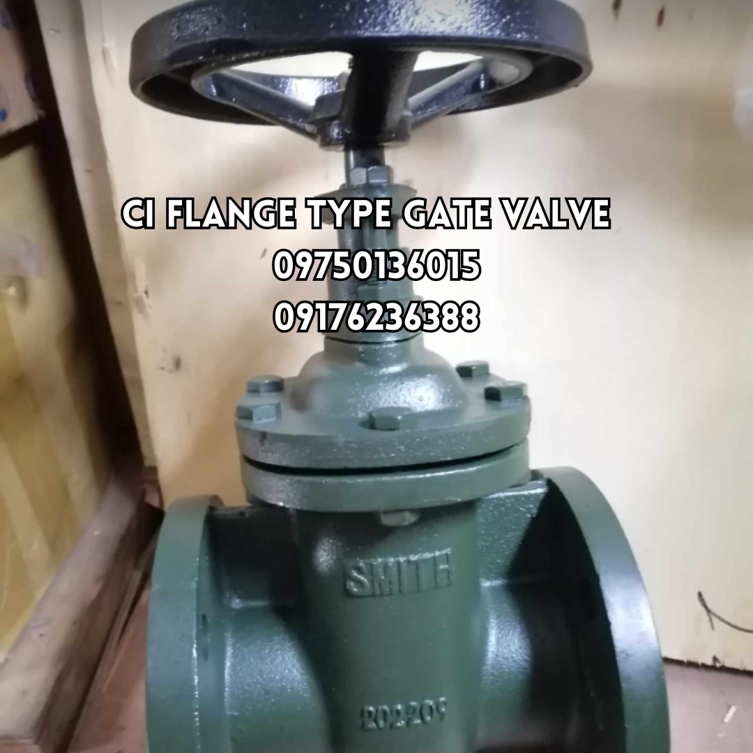 CI Flange type Gate Valve, Commercial & Industrial, Industrial ...