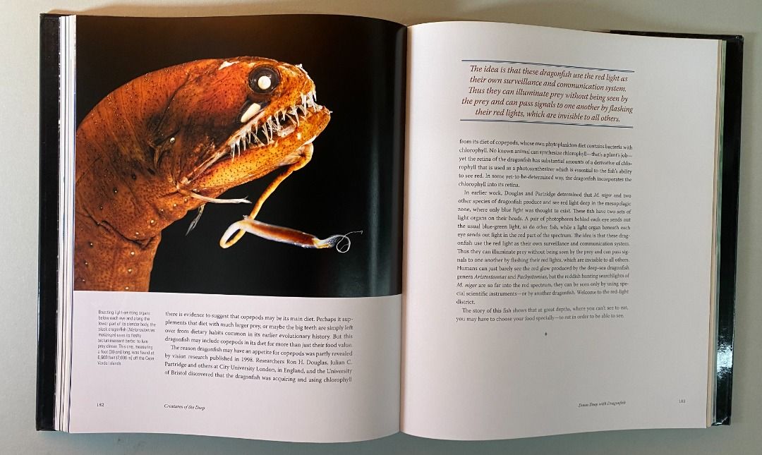 Creatures of the Deep: In Search of the Sea's Monsters and the World ...