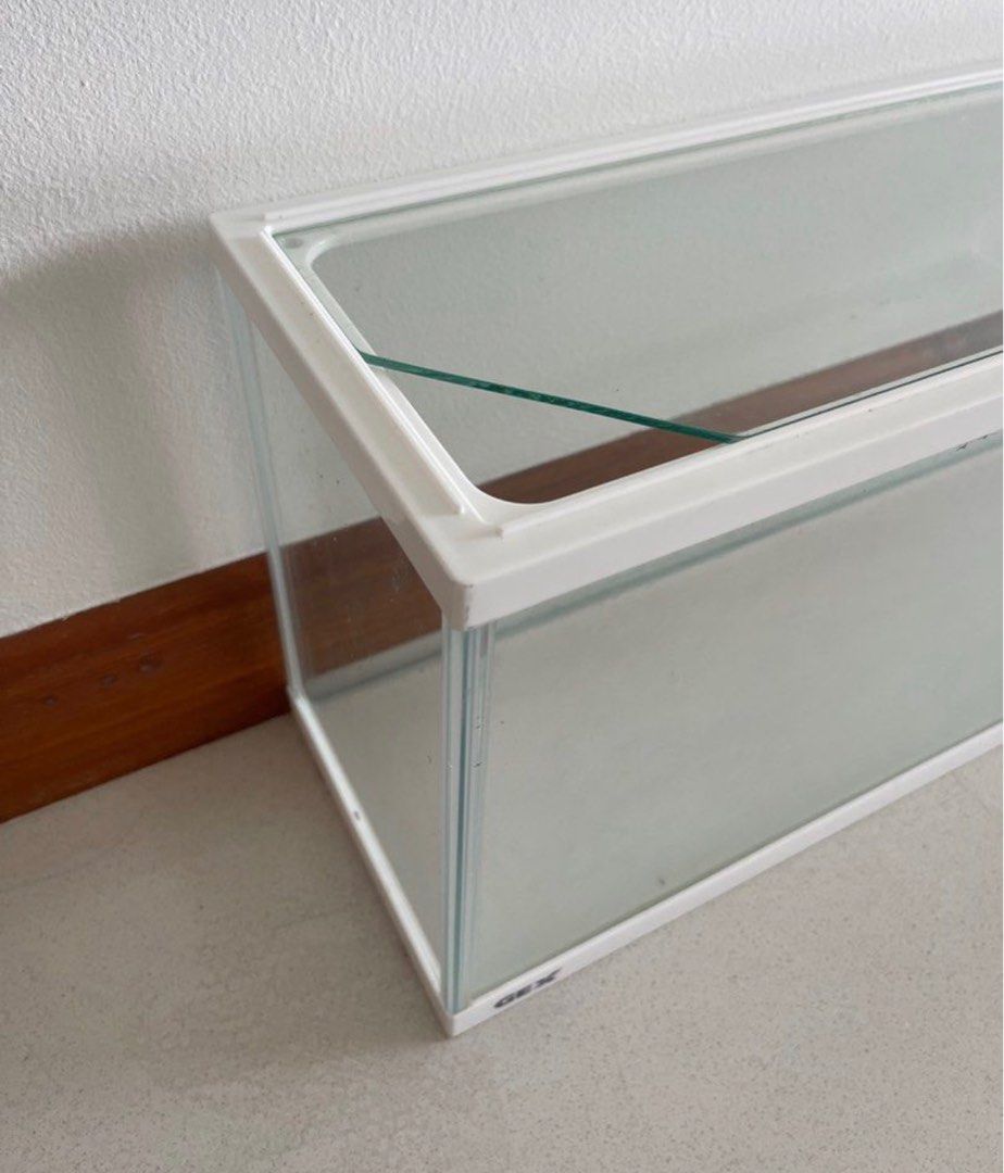 FISH TANK 60CM GEX DESK BOY WHITE, Pet Supplies, Homes & Other Pet Accessories on Carousell