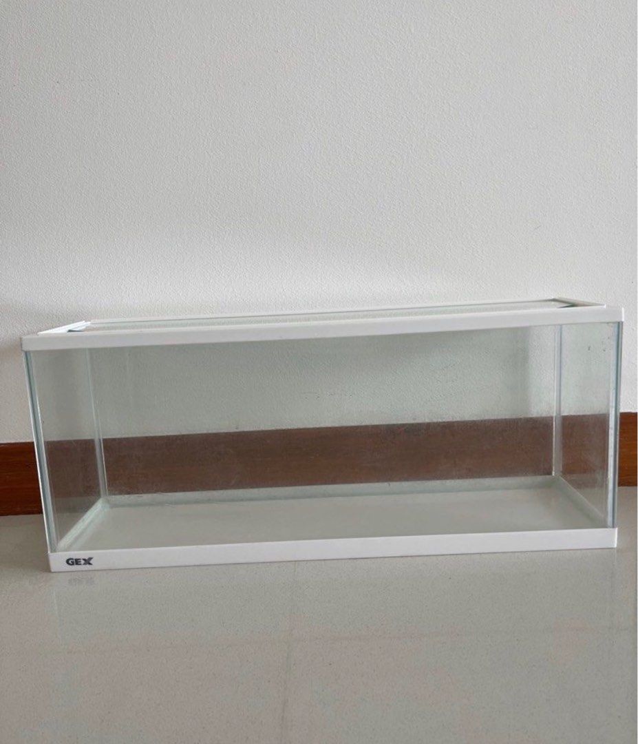 FISH TANK 60CM GEX DESK BOY WHITE, Pet Supplies, Homes & Other Pet Accessories on Carousell