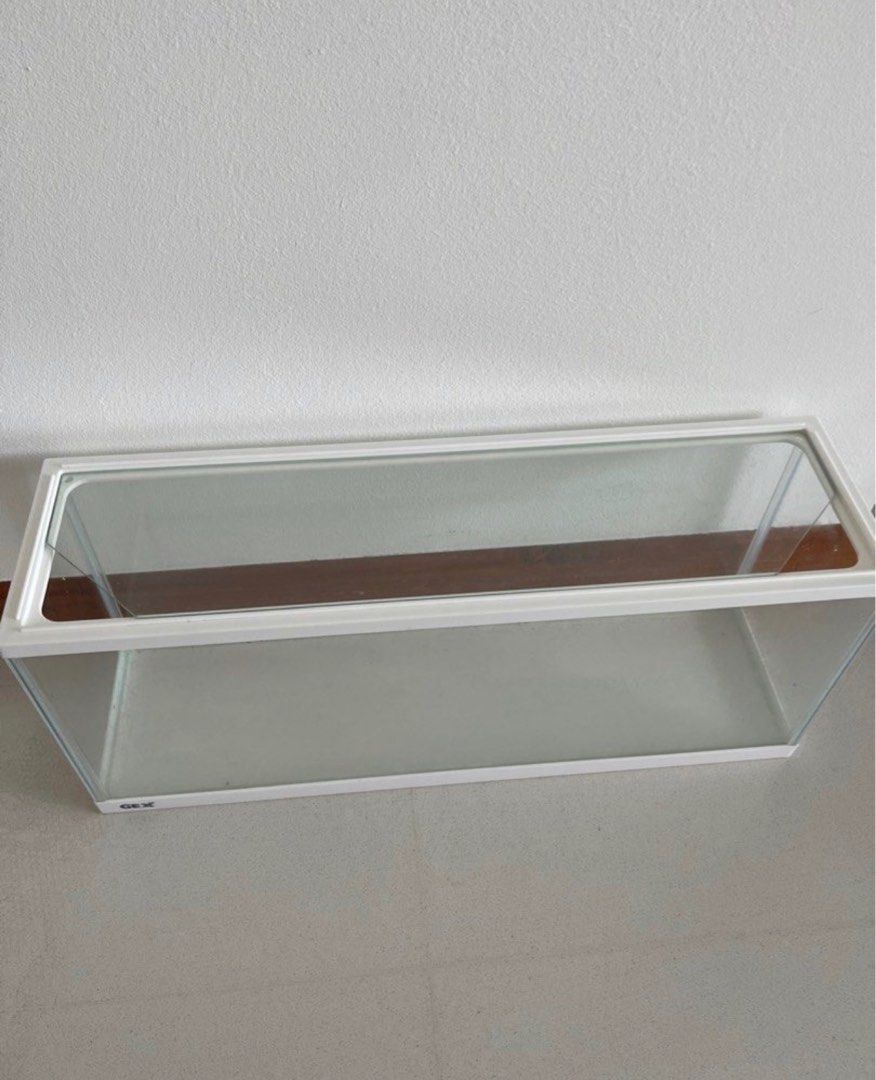 FISH TANK 60CM GEX DESK BOY WHITE, Pet Supplies, Homes & Other Pet Accessories on Carousell