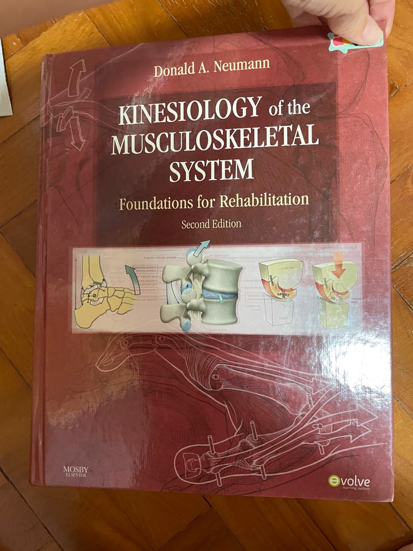 Kinesiology of the musculoskeletal system, Hobbies & Toys, Books ...