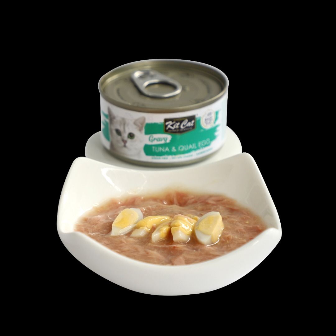 Kit Cat Gravy Wet Food For Cats 70g [1 Carton x 24 Can], Pet Supplies ...