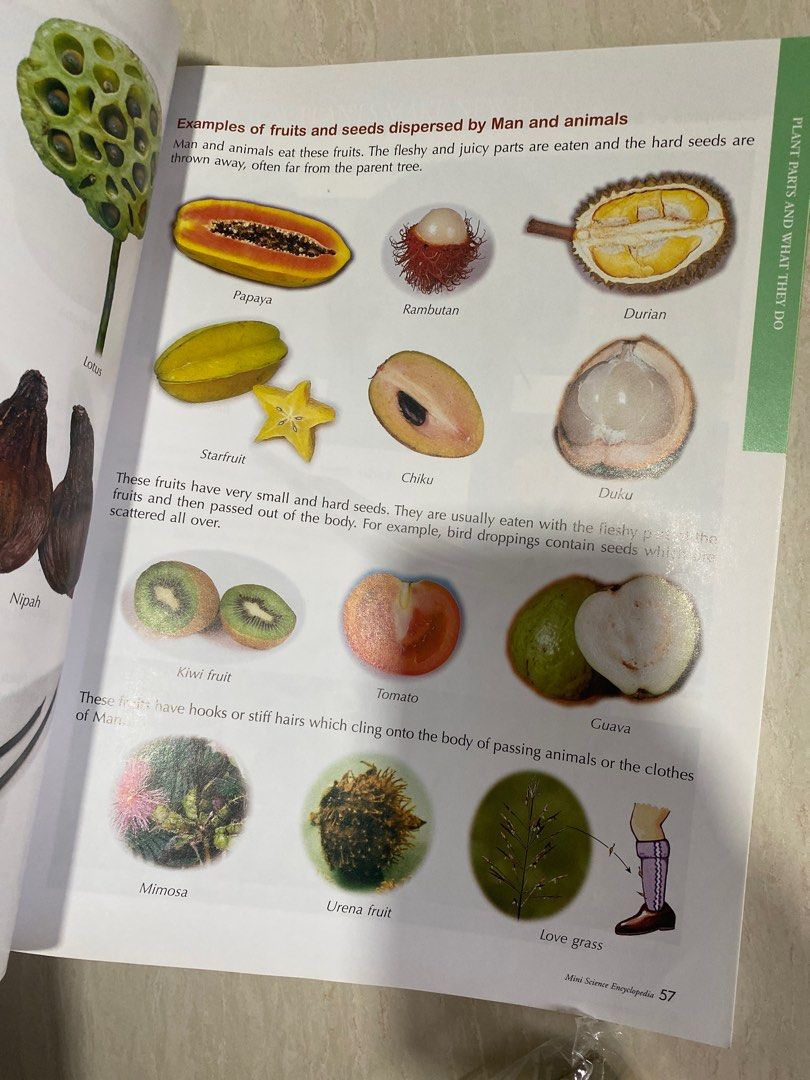 Mini science Encyclopedia (Marshall Cavendish), Hobbies & Toys, Books ...