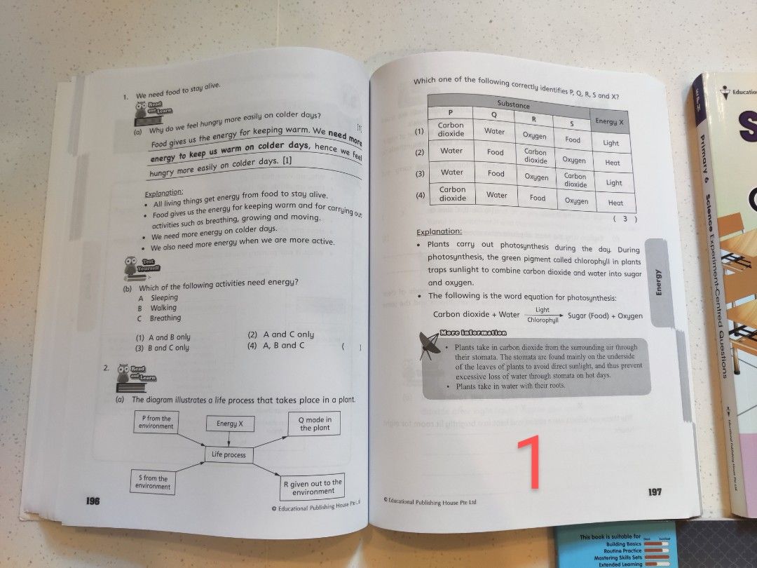 P5 P6 Janet Sim Science / English Cloze / Chinese, Hobbies & Toys ...