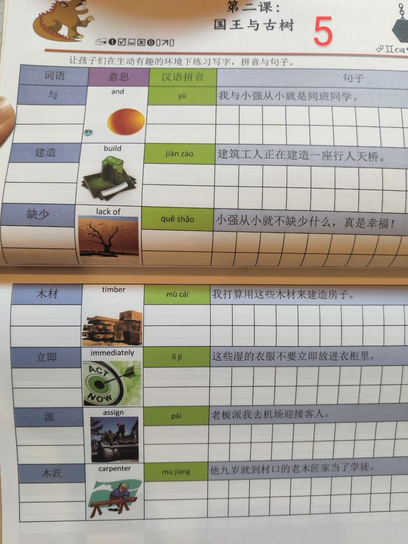 P5 P6 Janet Sim Science / English Cloze / Chinese, Hobbies & Toys ...