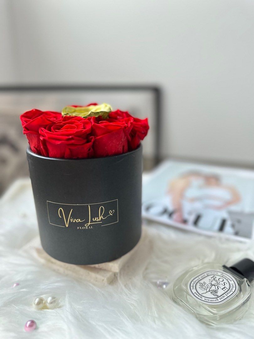 Preserved red & gold roses bloom box, Hobbies & Toys, Stationery ...