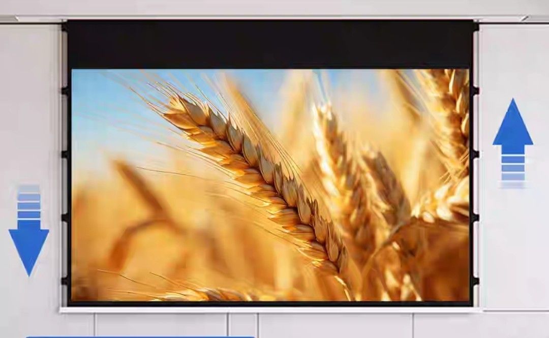 Remote Projector screen, TV & Home Appliances, TV & Entertainment ...