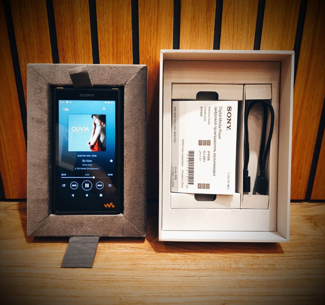 Sony NW-WM1AM2 Walkman Audiophile High Resolution Digital Audio Player ...